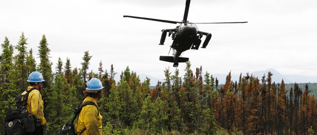 Policy; Wildfire; Logging; Forests; NEPA Archives - The Wildlife Society