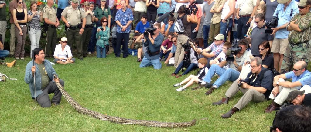 Competition Seeks to Manage Invasive Pythons in Everglades - The ...