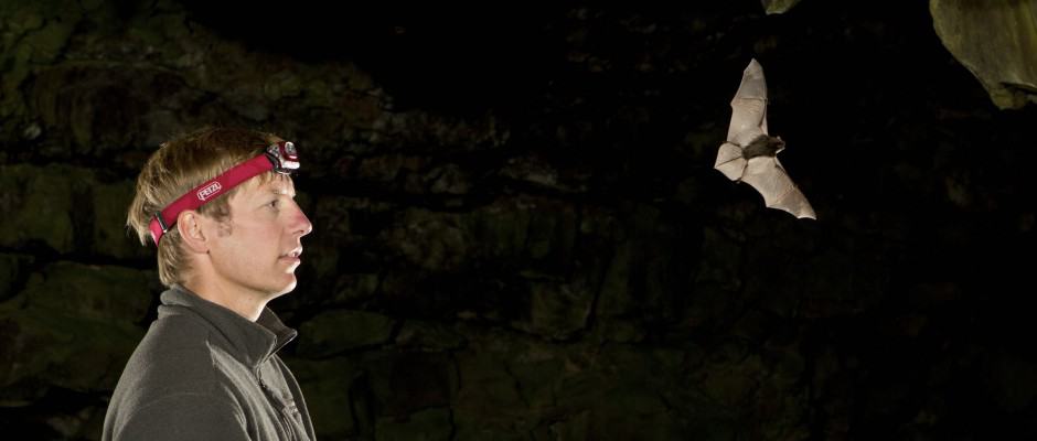 Bat Maps Help Conservation in Pacific Northwest - The Wildlife Society