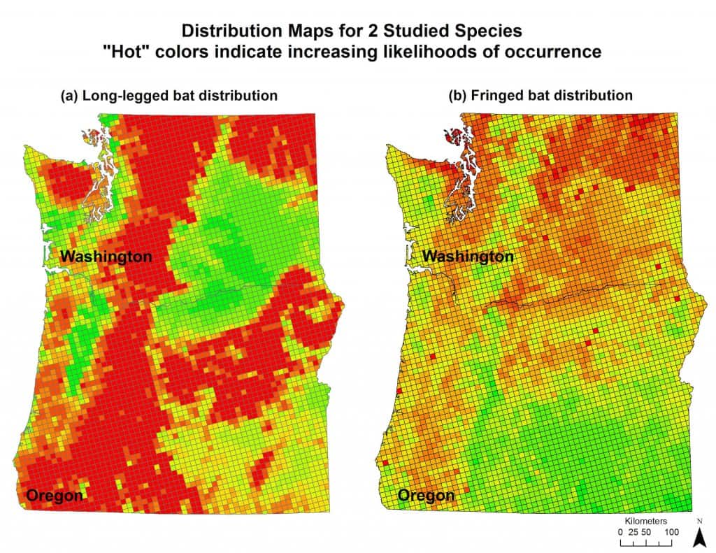 Bat Maps Help Conservation in Pacific Northwest - The Wildlife Society