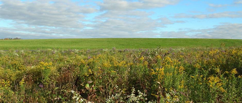 Ohio Chapter - The Wildlife Society