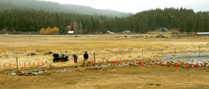 Improvements to fladry - The Wildlife Society