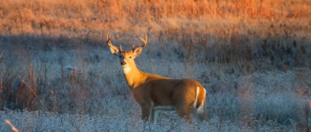 Mahoney, Riley, McDonald to speak at plenary on sustainability - The ...