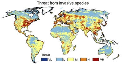 Invasive species bigger threat in developing countries - The Wildlife ...