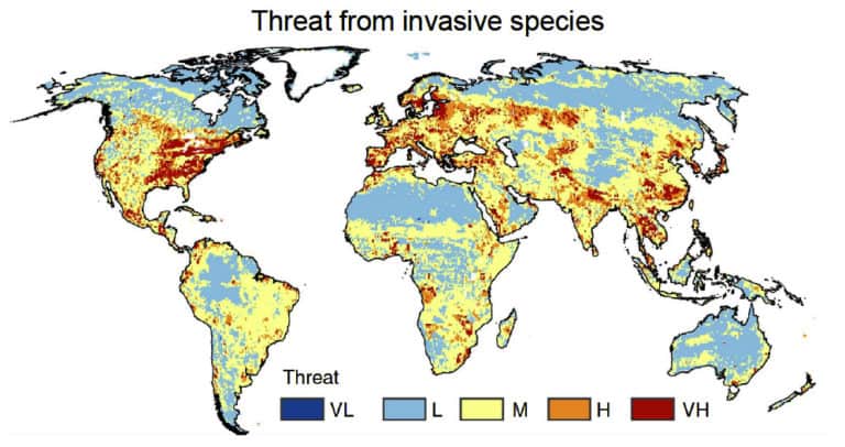 Invasive species bigger threat in developing countries - The Wildlife ...