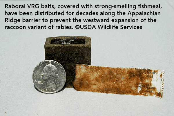 Successful 2016 oral rabies vaccination campaign completed - The ...