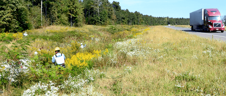 Ecosystem medicine: Effective integrated vegetation management - The ...