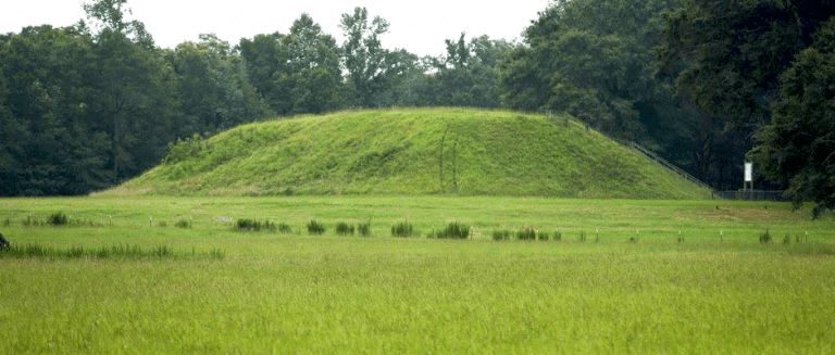 Native American youth learn trapping in summer program - The Wildlife ...