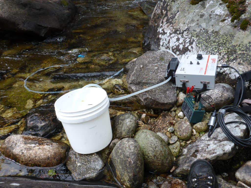 eDNA - Not just for fisheries biologists anymore - from The Wildlife ...