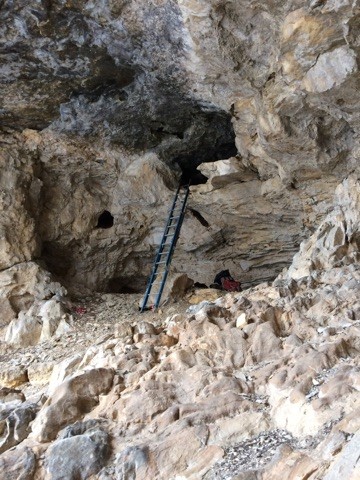 Interagency Spotlight: Bat Monitoring - The Wildlife Society