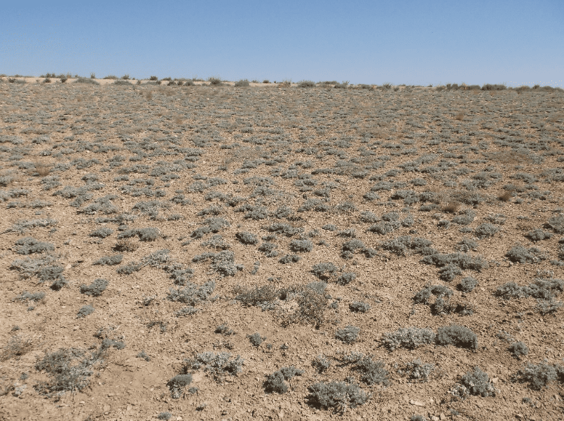 Digging for Answers: How One Wyoming Native Seeks to Understand Another ...