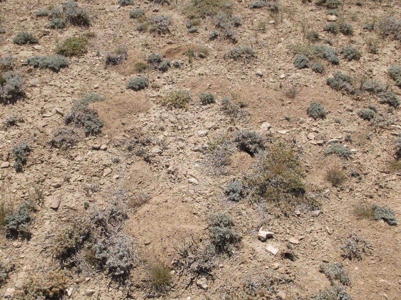 Digging for Answers: How One Wyoming Native Seeks to Understand Another ...