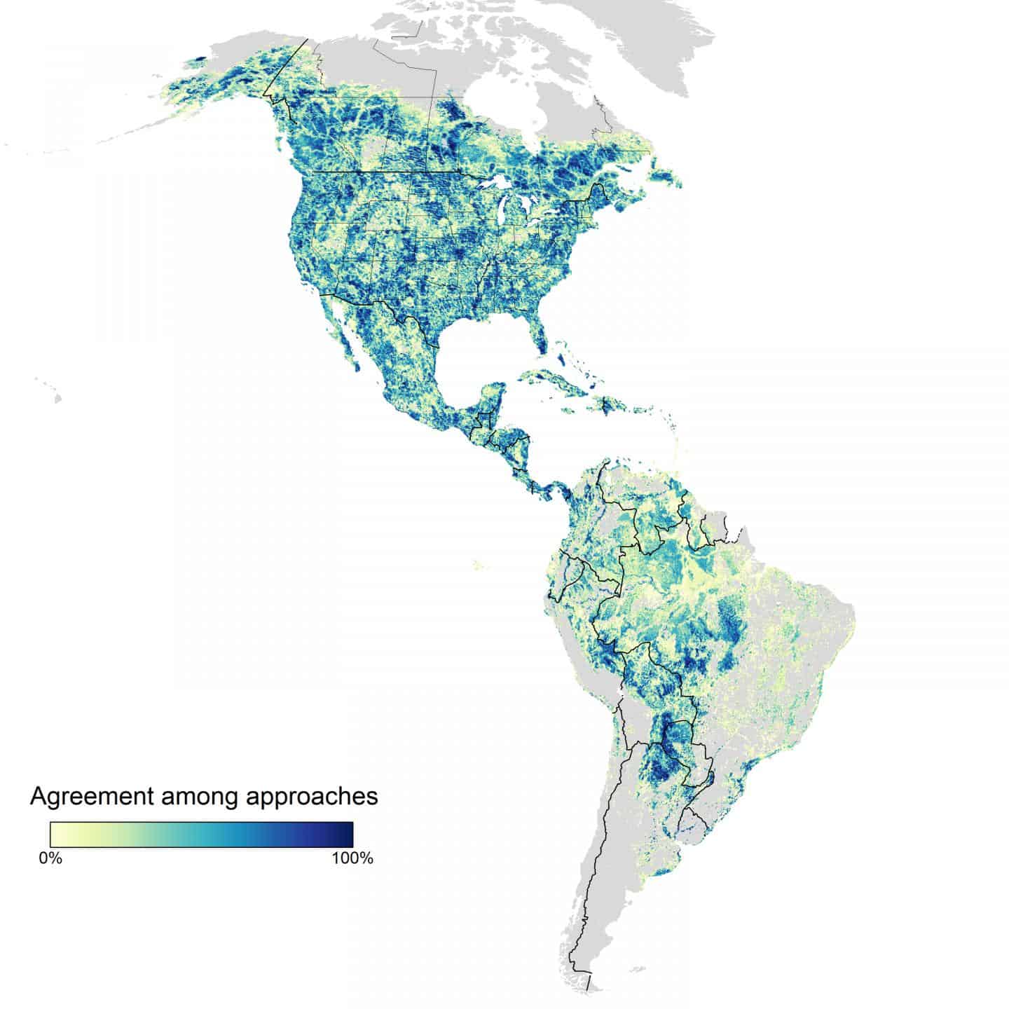eBird program informs songbird conservation across Americas - The ...