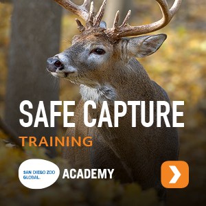 Virginia snake ID “hotline” helps spare harmless snakes | THE WILDLIFE ...