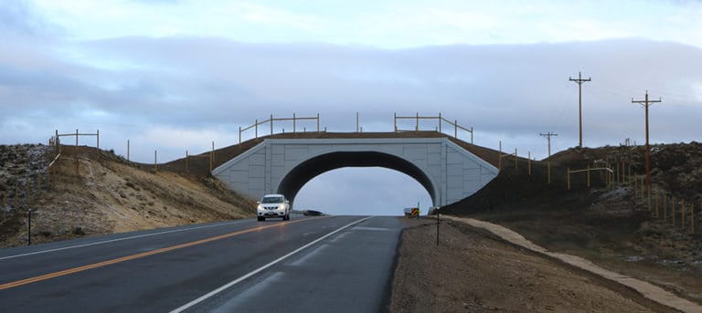 Senate committee advances bill funding wildlife crossings - The ...