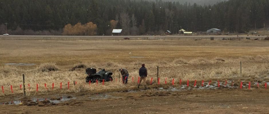 Partners deploy fladry in Minnesota wolf country - The Wildlife Society