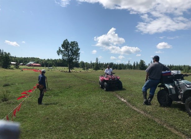 Partners deploy fladry in Minnesota wolf country - The Wildlife Society