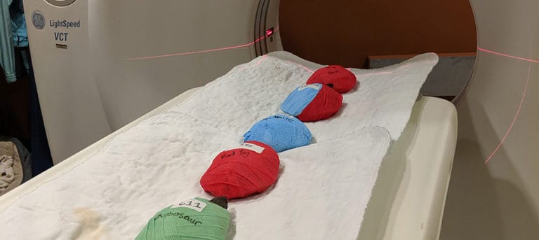 Shell disease may hamper pond turtle recovery - The Wildlife Society