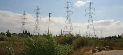 Power line corridors support wildlife - The Wildlife Society