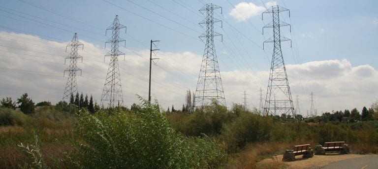Power line corridors support wildlife - The Wildlife Society