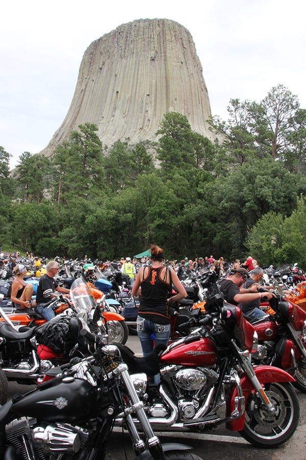 Giant motorcycle rally affects wildlife in national park - The Wildlife ...