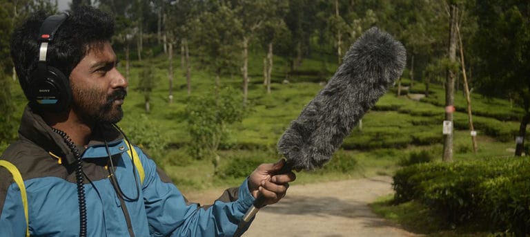 Bioacoustics opening up world of birdsongs - The Wildlife Society