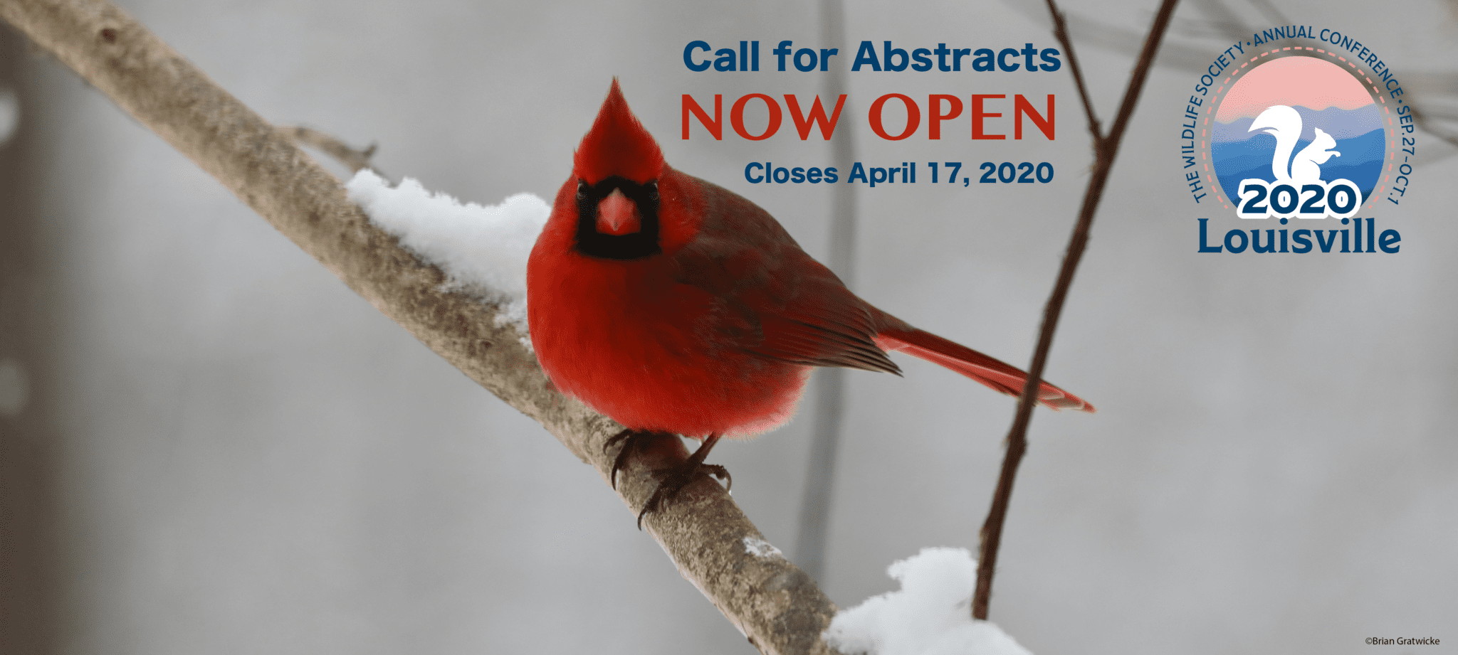 2020 Call for Abstracts now open! - The Wildlife Society