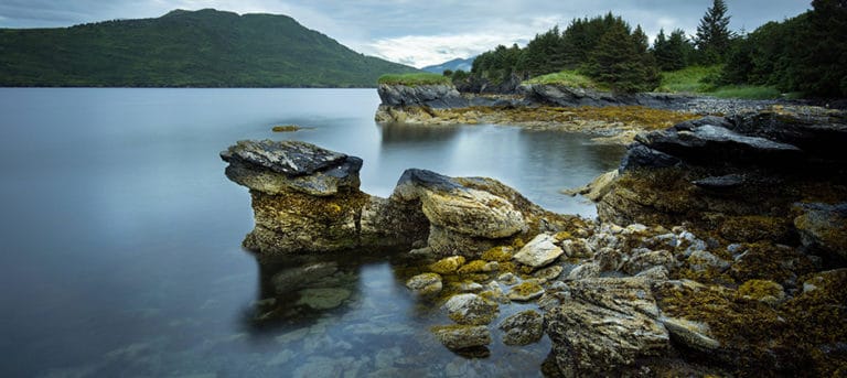 Administration budget would cut wildlife funding - The Wildlife Society