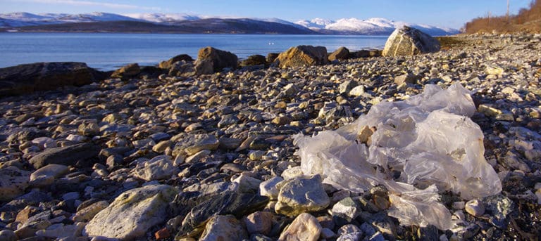 Researchers focus on microplastics - The Wildlife Society