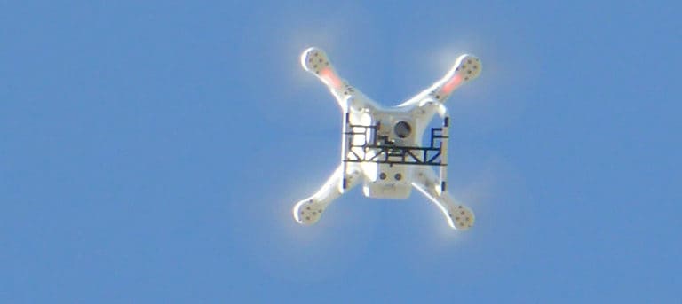 Introducing the Drone Working Group - The Wildlife Society