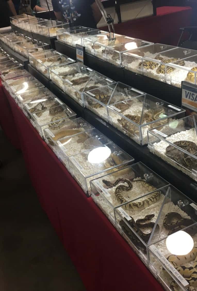 JWM: Engaging pet trade important in stopping invasives - The Wildlife ...