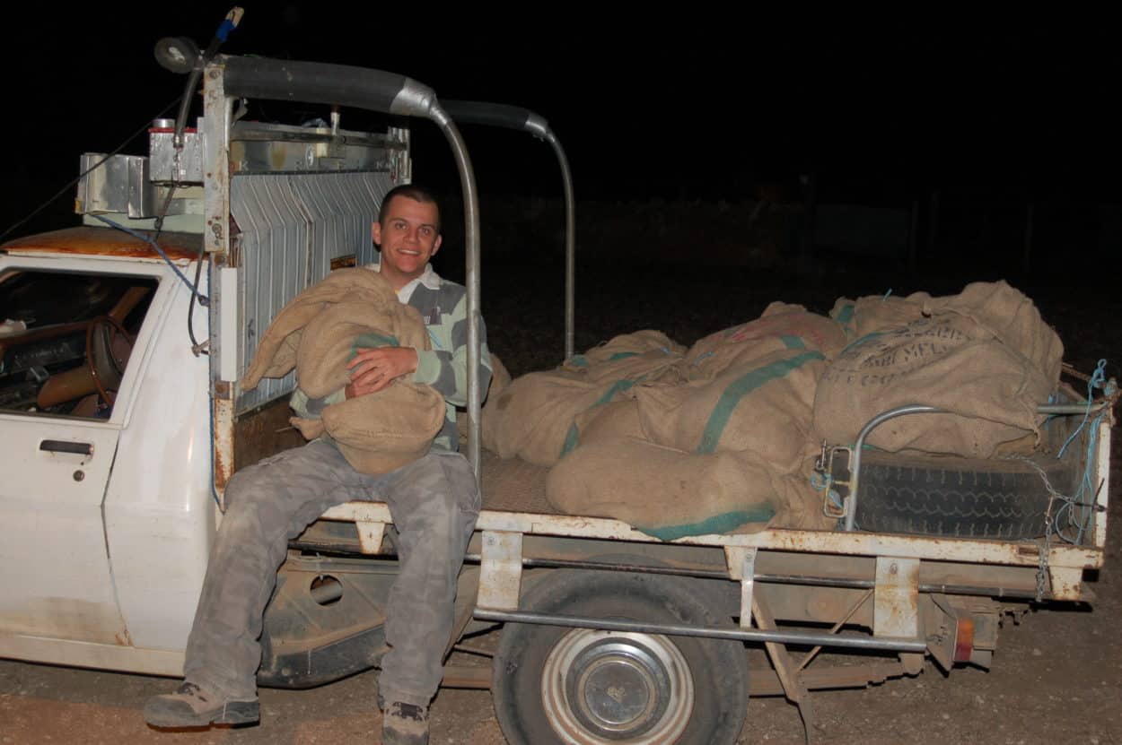 Wild Cam: Wombats face grim outlook in hotter, drier climate - The ...
