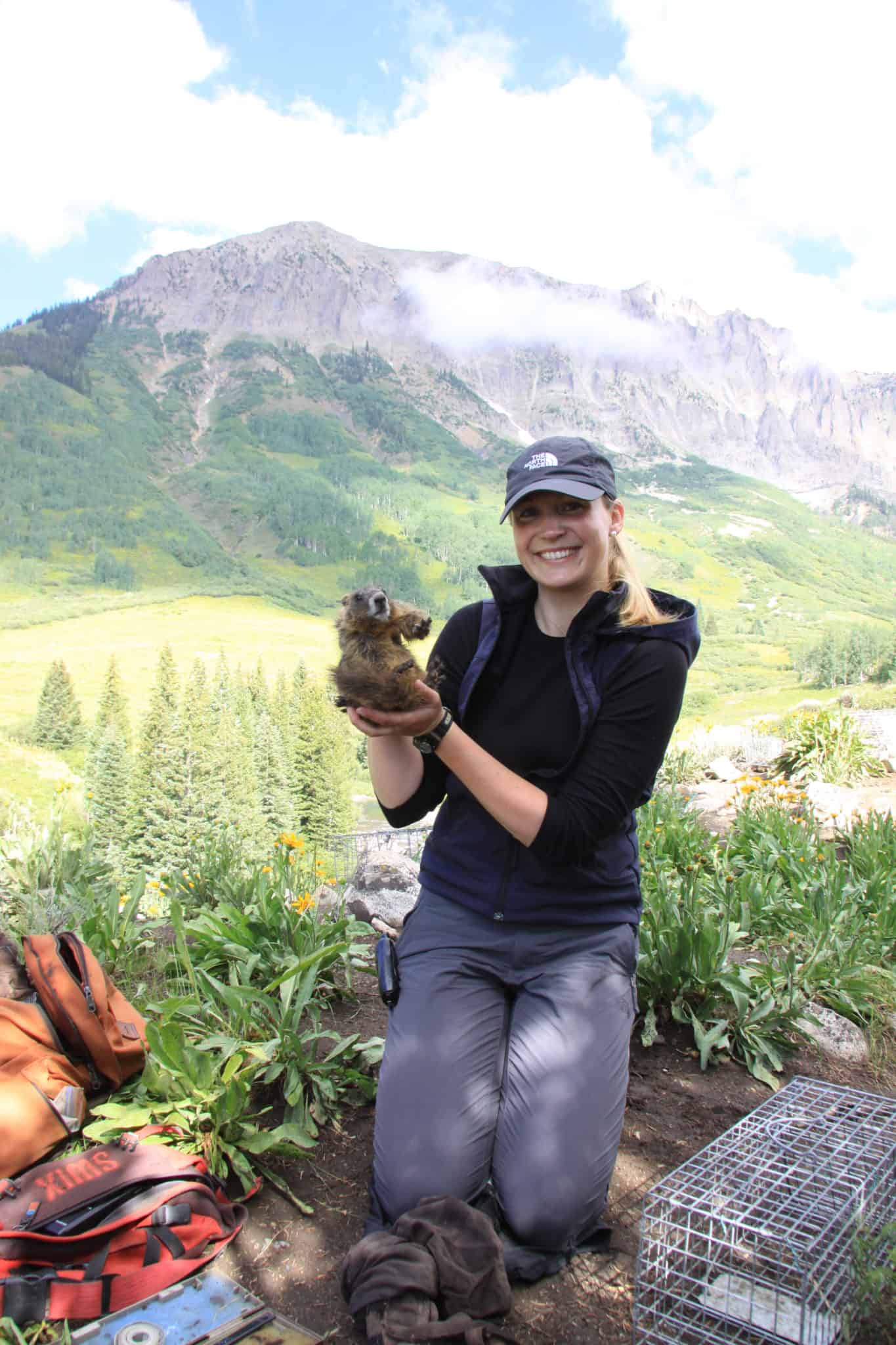 Marmot survival changes with the seasons - The Wildlife Society