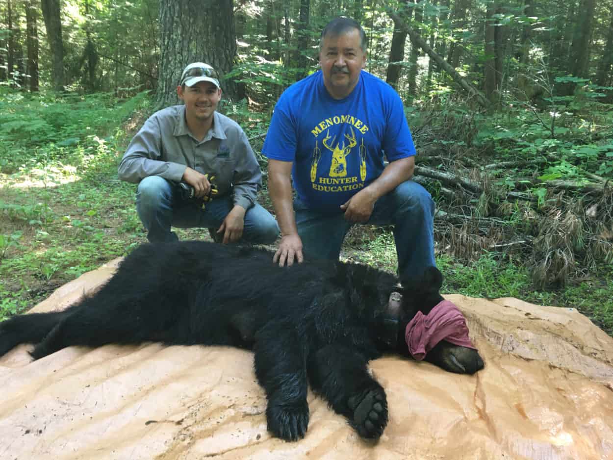 Busy summer for Wisconsin bear cub rehab - The Wildlife Society