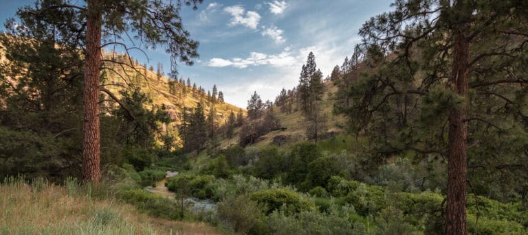 TWS comments on proposed habitat definition - The Wildlife Society