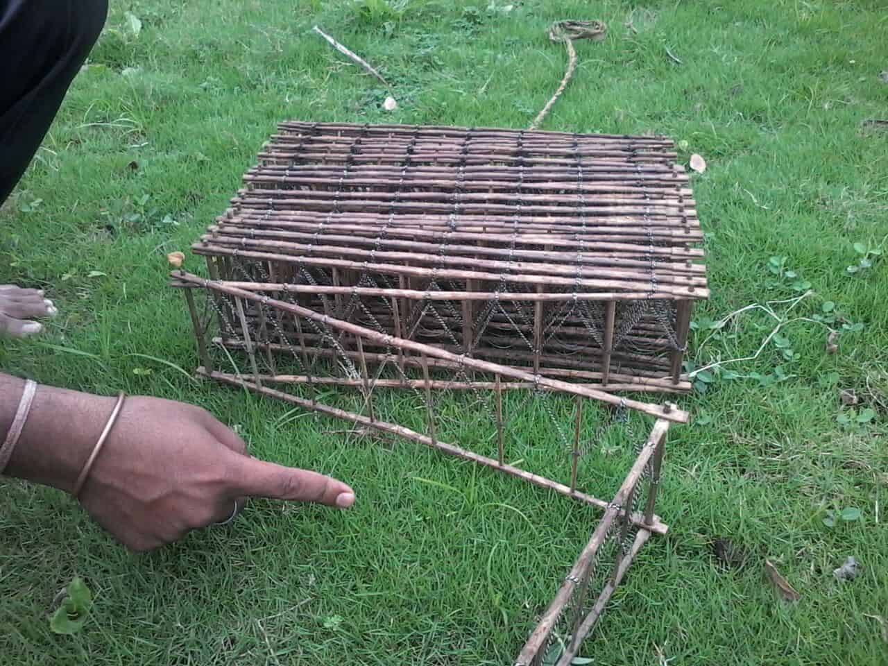 TWS2020: Better understanding locals could decrease poaching in India ...