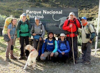 Wild Cam: Costa Rica’s black panthers and elusive bush dogs - THE ...