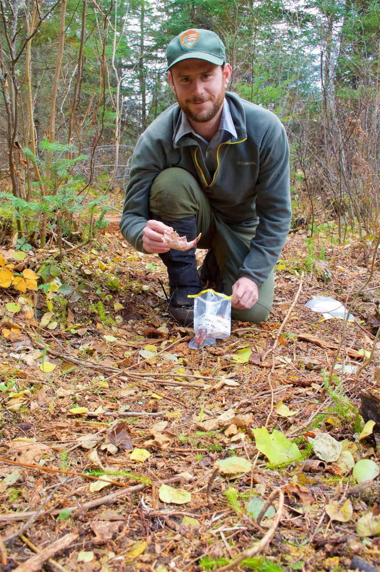 Wolves alter Minnesota wetlands - The Wildlife Society