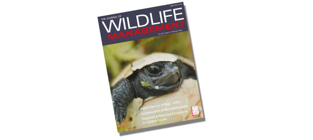 The February issue of the Journal of Wildlife Management - The Wildlife ...