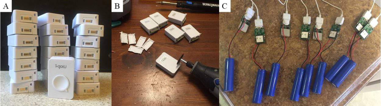 WSB: Cheap GPS loggers work for tortoise tracking - The Wildlife Society