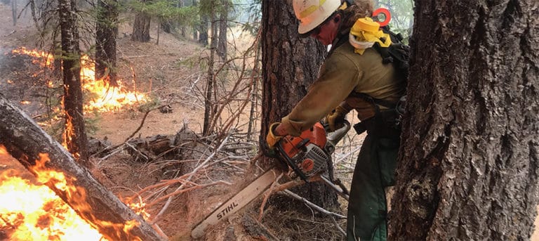 New USGS plan focuses on wildfire - The Wildlife Society