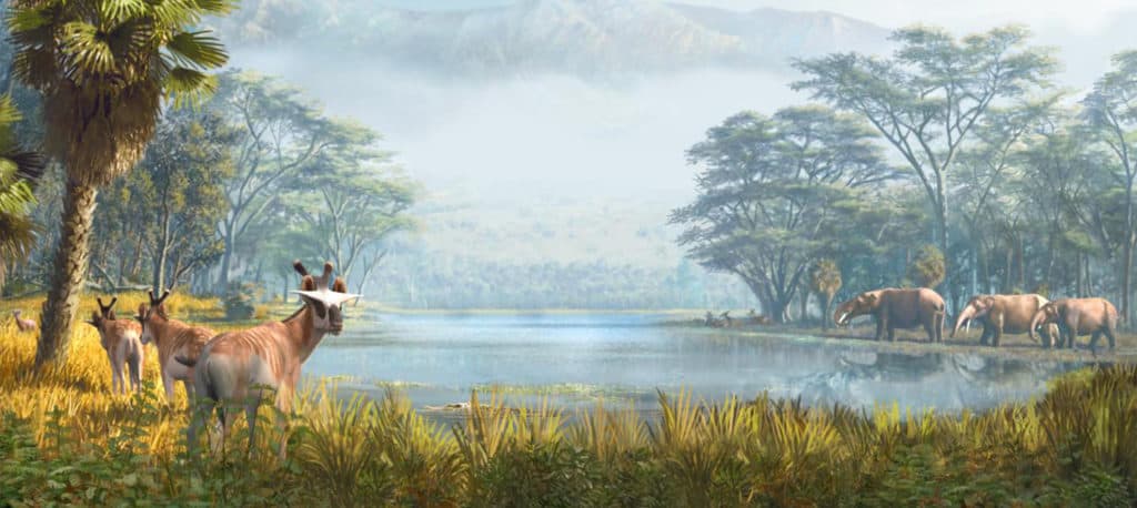 Functioning ecosystems persist through environmental change - The ...