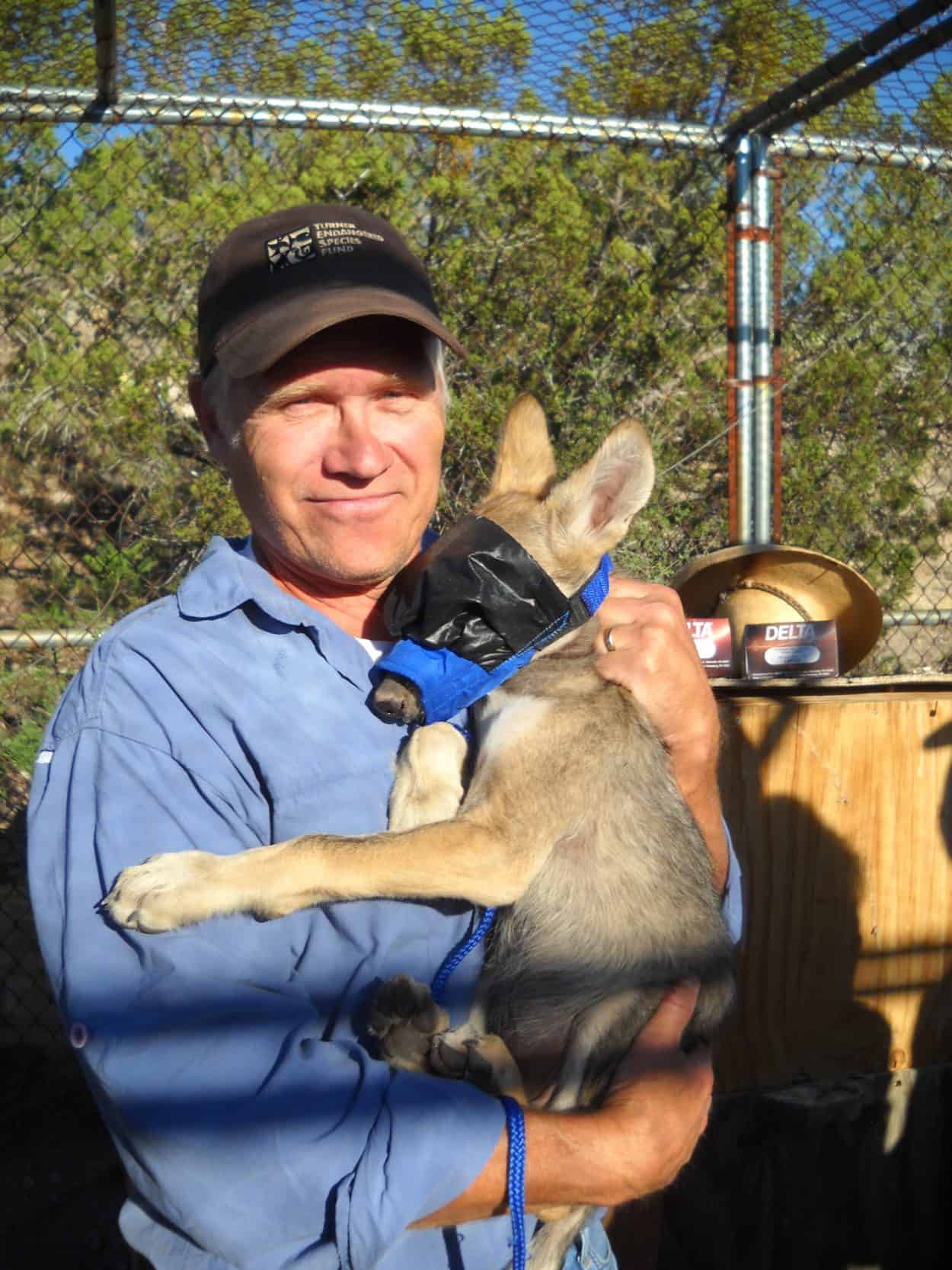 Mike Phillips first Aldo Leopold winner to hold office - The Wildlife ...