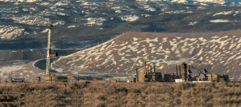 TWS renews position statements on energy and invasives - The Wildlife ...