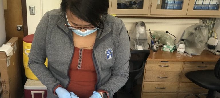 Wildlife Vocalizations: Deandra Jones - The Wildlife Society