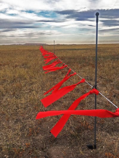 With some modifications, fladry can deter coyotes - The Wildlife Society