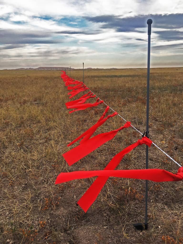 With some modifications, fladry can deter coyotes - The Wildlife Society