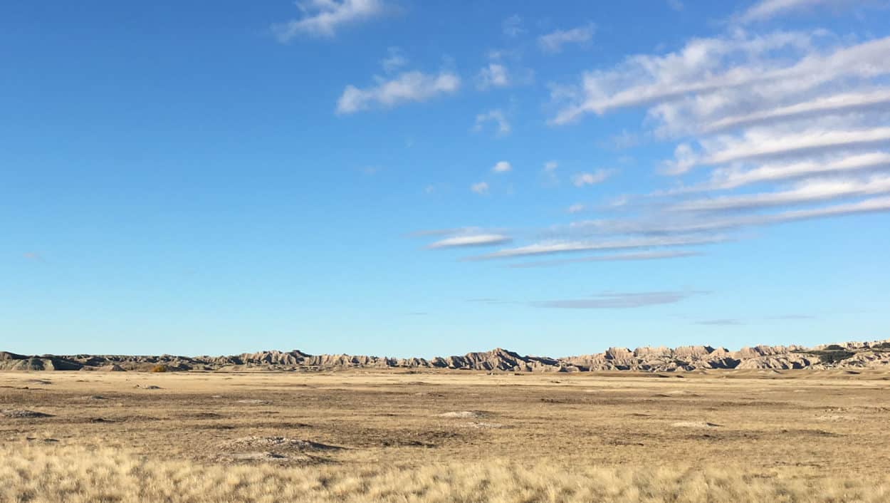 With some modifications, fladry can deter coyotes - The Wildlife Society