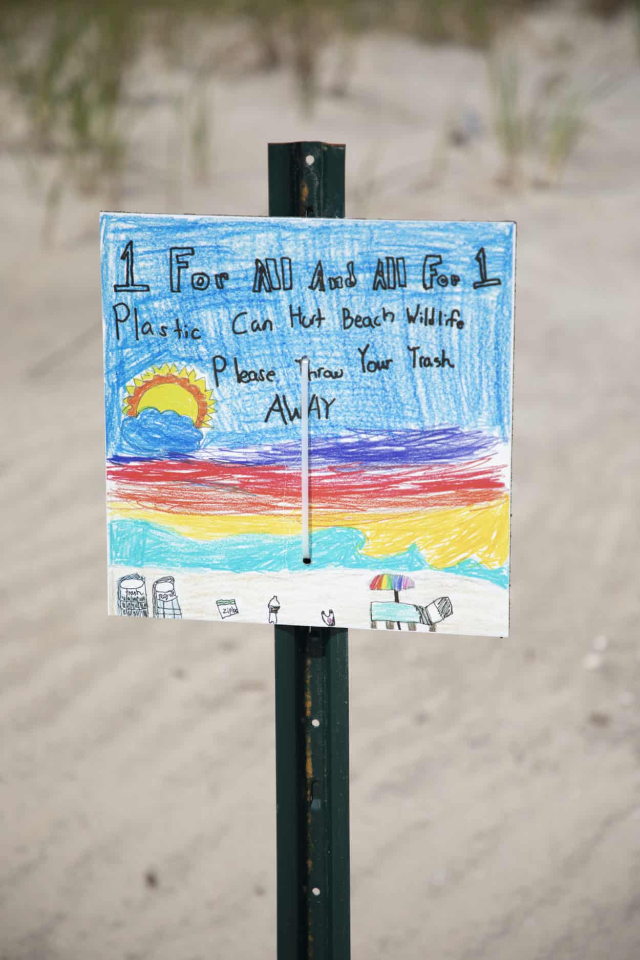 Stewardship helps protect coastal birds - The Wildlife Society