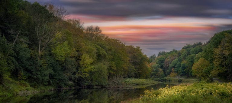 landscape conservation Archives - The Wildlife Society